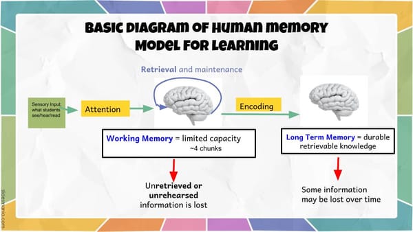 Reduce Cognitive Load: 10 Research-Backed Classroom Strategies